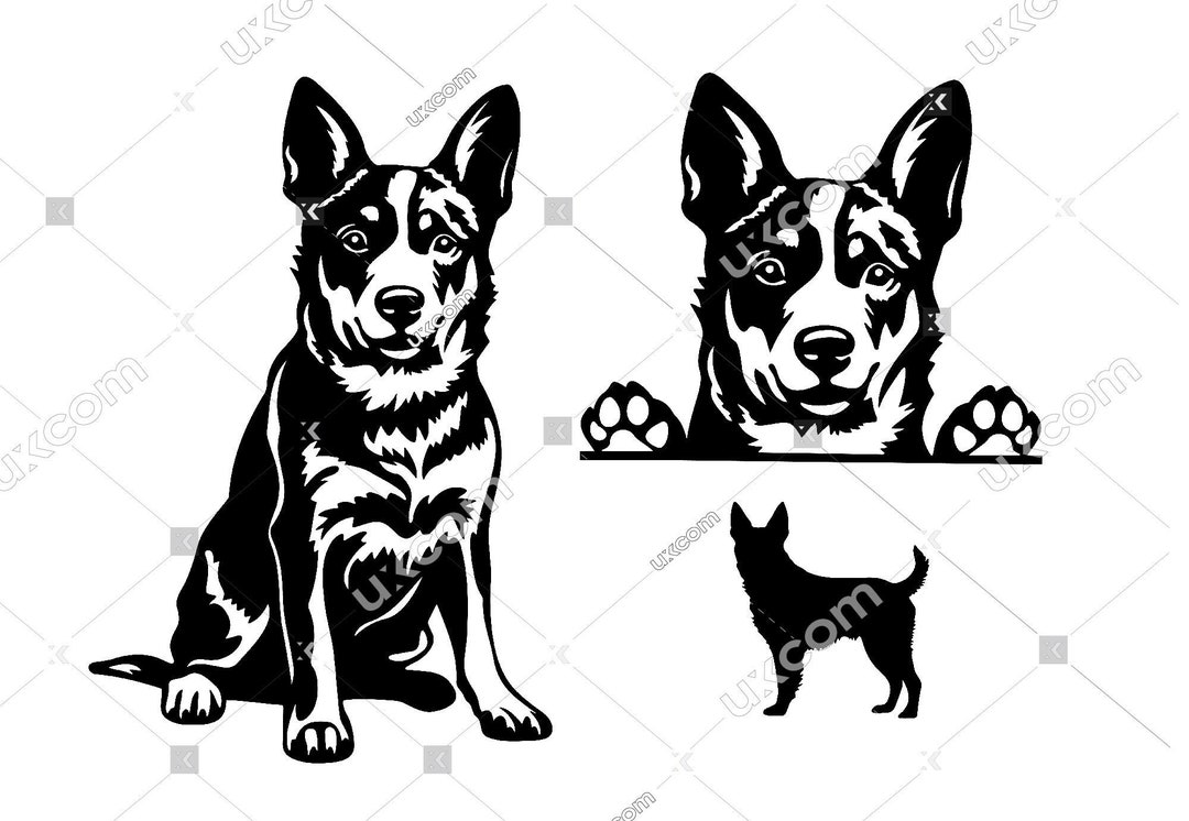Australian Cattle Dog Svg Peeking Cute Blue Heeler Set Bundle 3 Blue ...