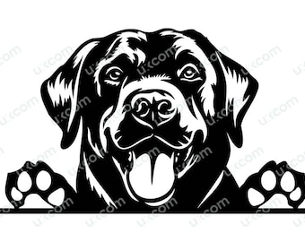 Dog SVG Black Lab SVG Labrador Retriever Cut File for Cricut - Etsy UK
