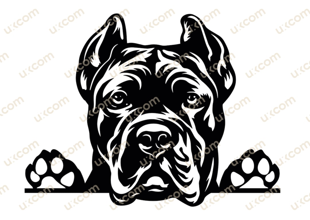Cane Corso Peeking Svg Commercial Breed Cane Corso Cricut Cut File Pet ...