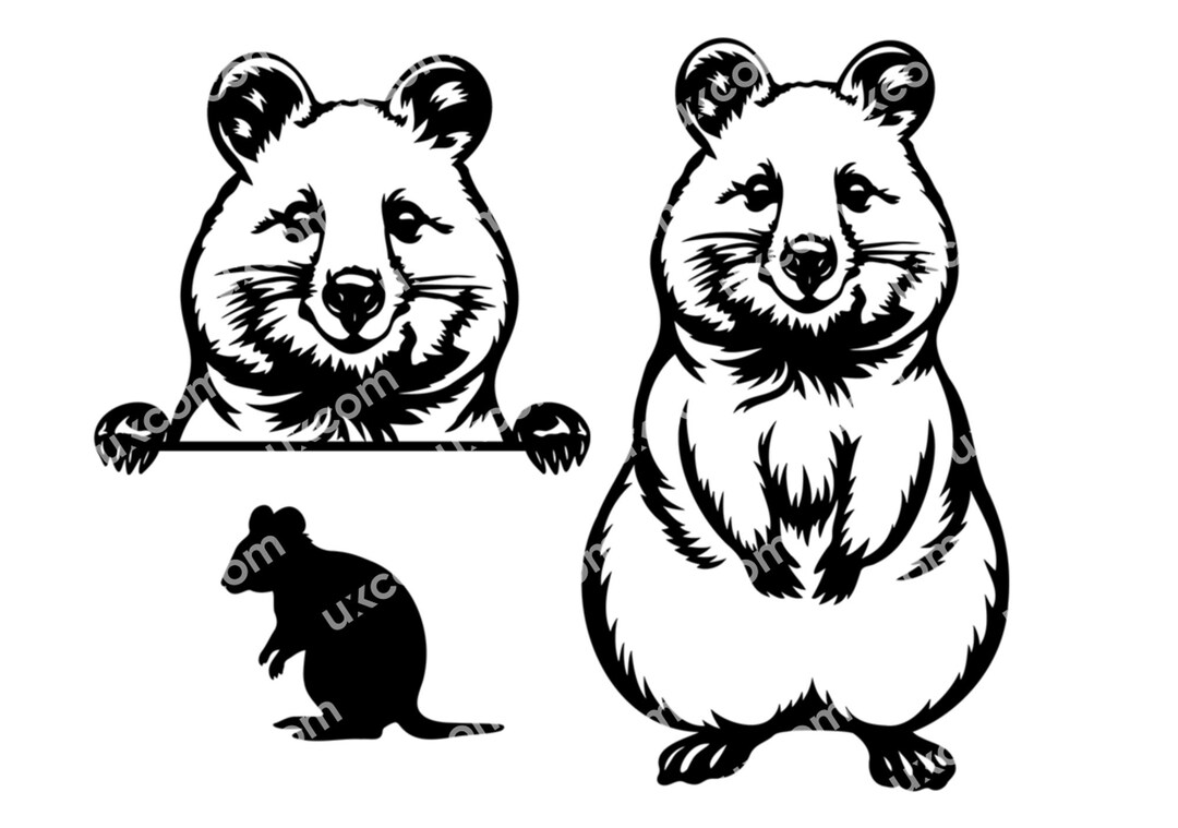 Quokka Svg Quokka Peeking Australian Quokka Animal Commercial Cute ...