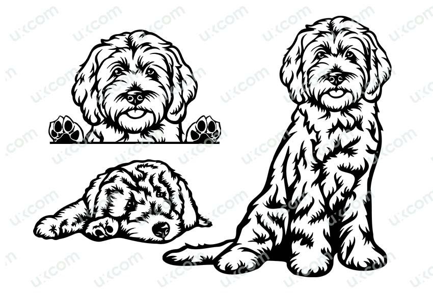 Labradoodle Goldendoodle Peeking Dog Commercial Set Doodle Momlover ...