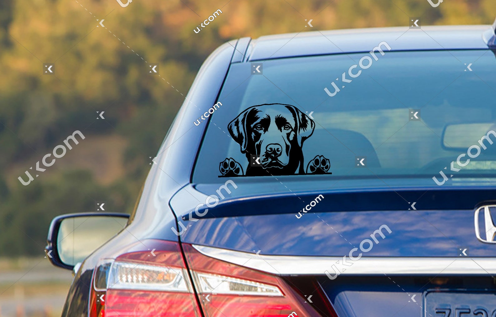 Labrador retriever mirando las patas del perro Labrador retriever SVG ...