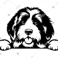 Doodle SVG, Dog Breed Silhouette SVG, Bernedoodle Art, Sheepadoodle ...