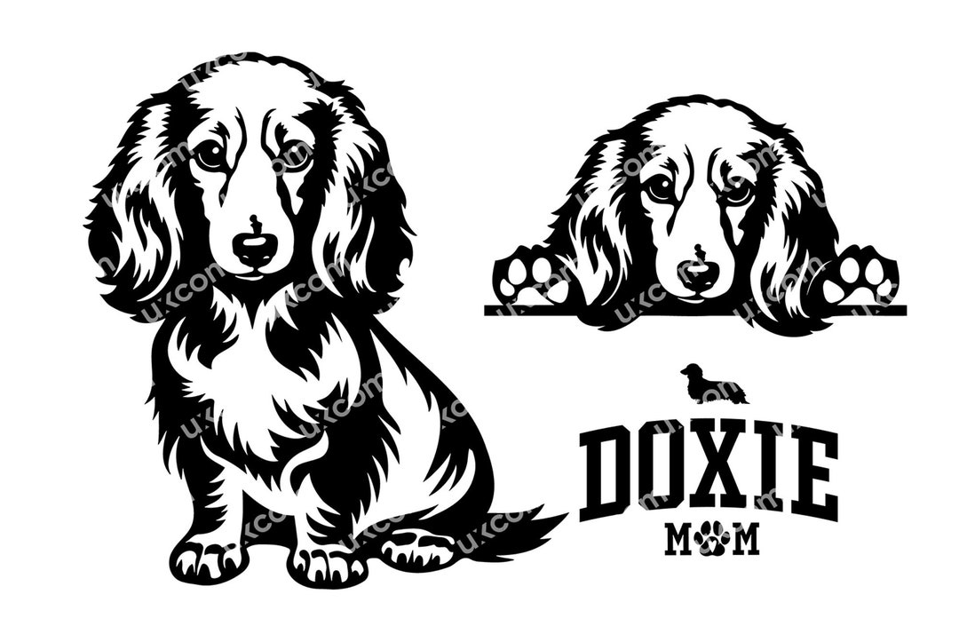 Dachshund Long Haired Bundle Set Peeking Dog Doxie Commercial Breeds ...