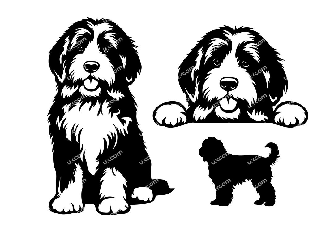 Bernedoodle Peeking Happy Bernedoodle Svg 3 Commercial Cute Bernedoodle ...