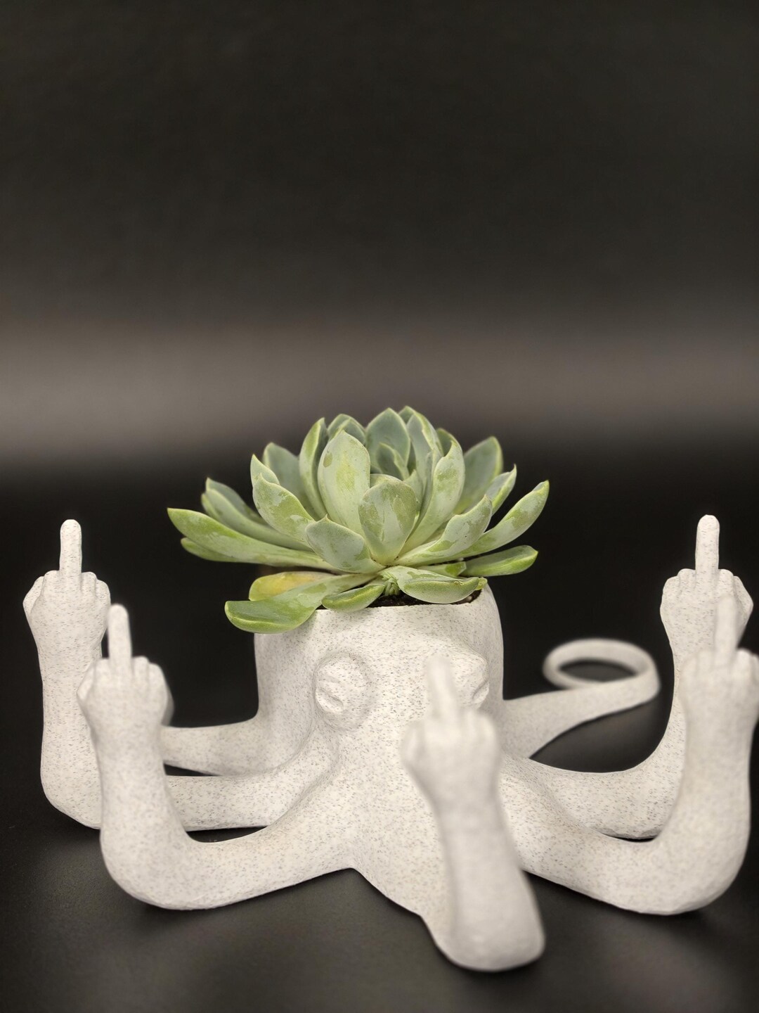 Rude Octopus Planter - Etsy