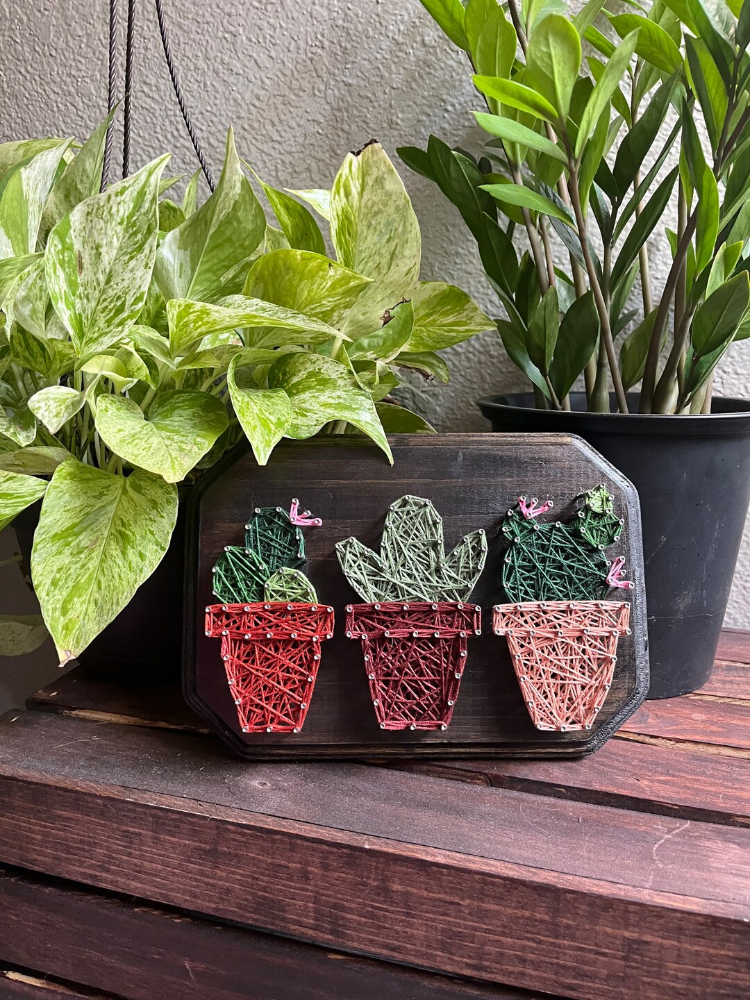 Cacti String Art Cactus Handmade Home Decor Wall Art Succulent Plant ...
