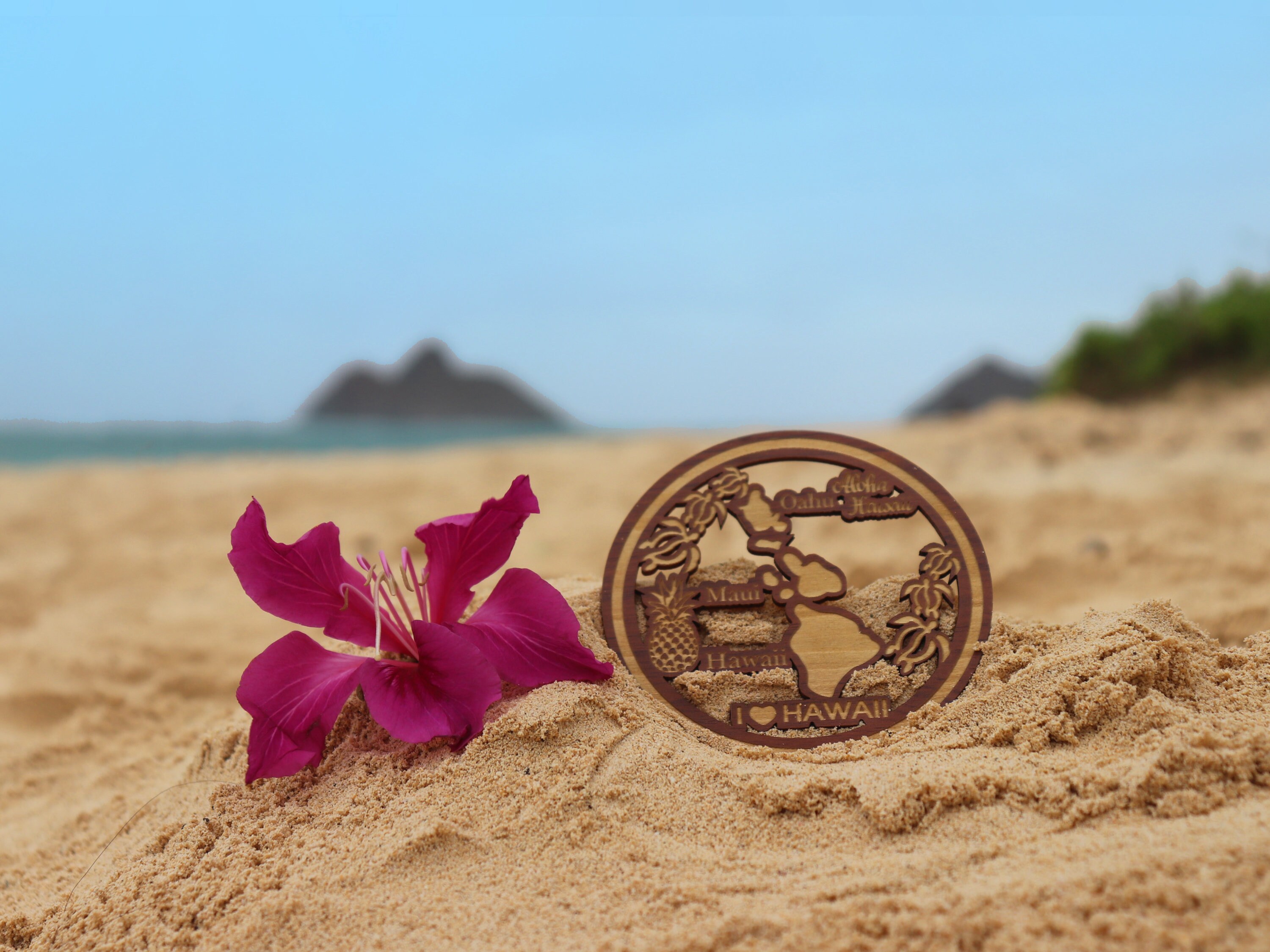 Hawaiian Holiday Box Hawaiian Box Christmas Gift Hawaii Macadamia Made ...