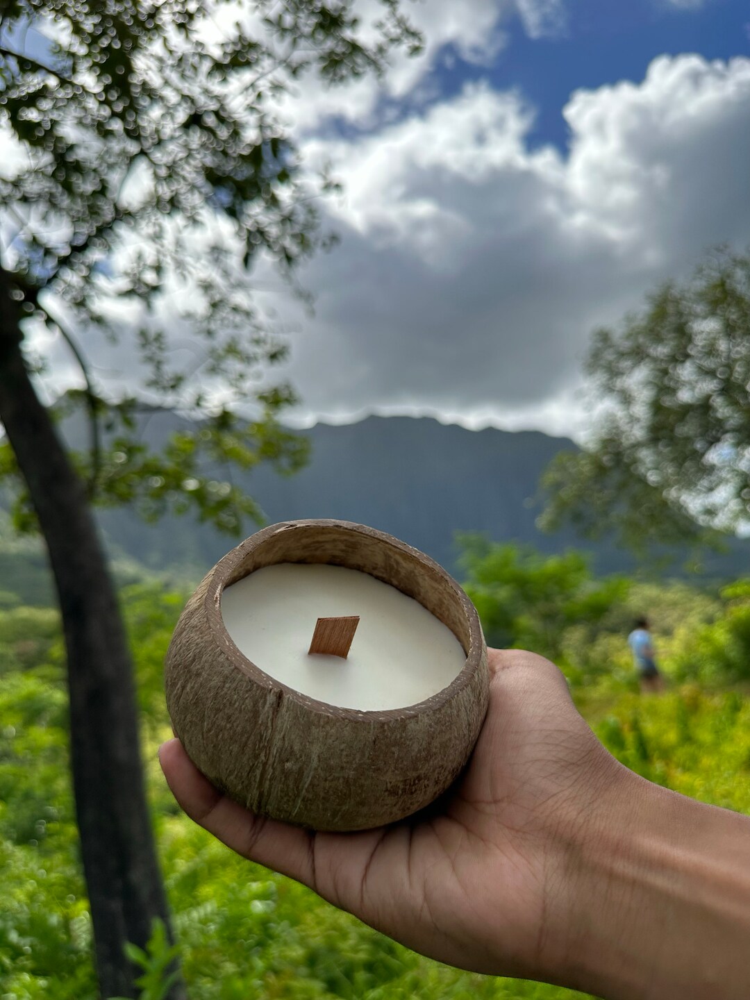 Coconut Candle Real Coconut Hawaii Tropical Candle Hawaiian Candle ...