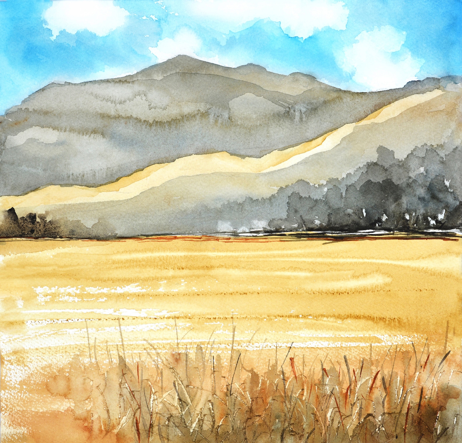 Wheat Field Watercolor Wall Art, Farm Field Painting, English ...