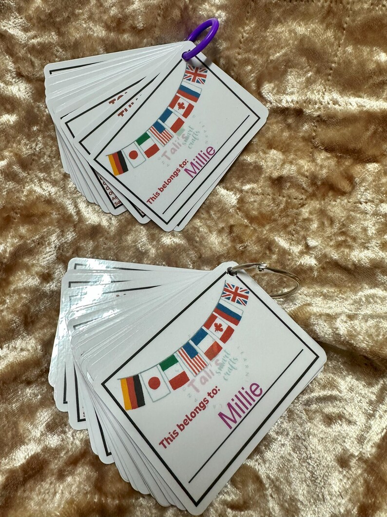 201 Country Flags Flashcards | Flags of the World Flashcards | High ...