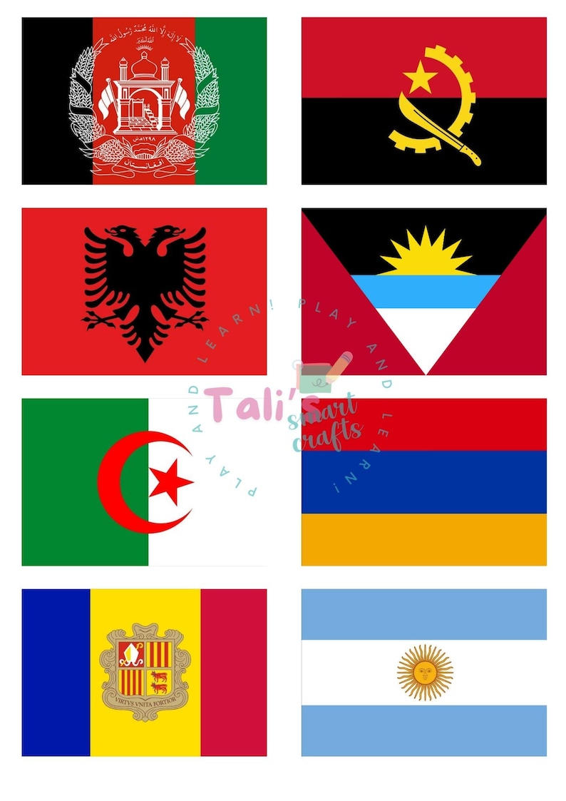 PRINTABLE Montessori Country Flags of the World Memory Flashcards | 201 ...