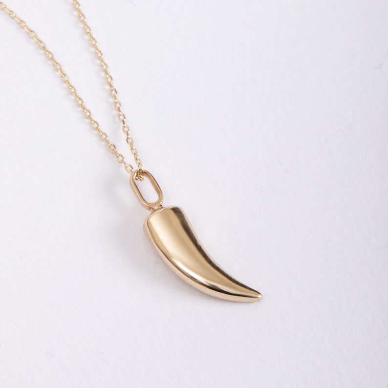 14K Chili Pepper Urn Pendant, Real Solid Gold Minimalist Cremation ...
