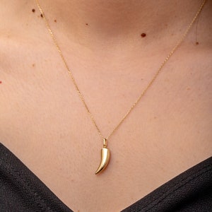 14K Chili Pepper Urn Pendant, Real Solid Gold Minimalist Cremation ...