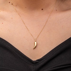 14K Chili Pepper Urn Pendant, Real Solid Gold Minimalist Cremation ...