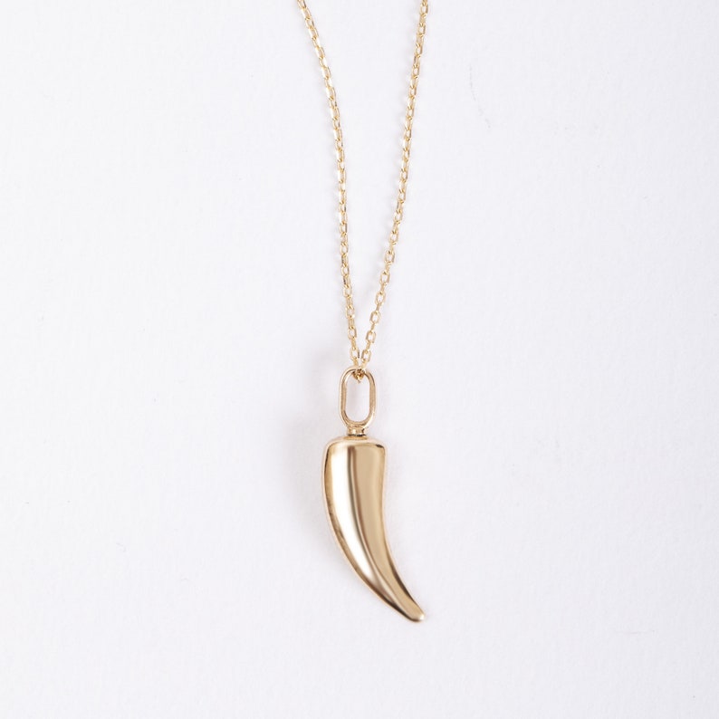 14K Chili Pepper Urn Pendant, Real Solid Gold Minimalist Cremation ...