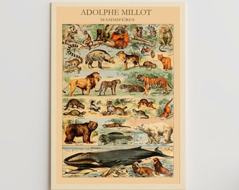 Birds by Adolphe Millot Fine Art Print Vintage Poster Bird - Etsy