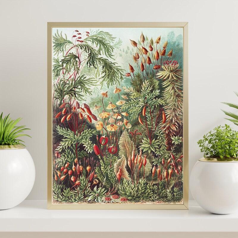 Botanical Poster - Etsy