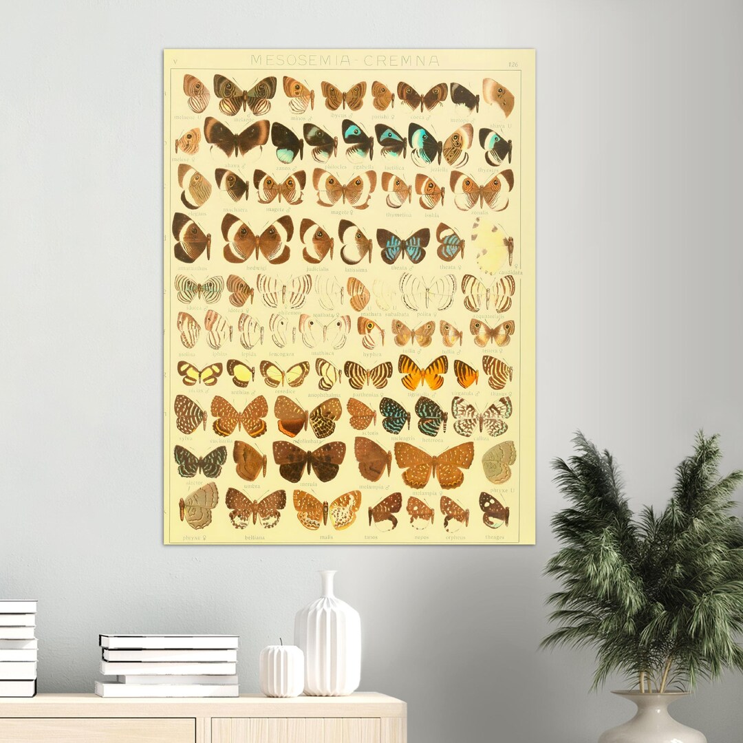 Butterfly Poster, Butterfly Print, Vintage Butterfly Print, Butterfly ...