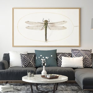 Dragonfly Poster Art, Vintage Dragonfly Illustration, Vintage Dragonfly ...