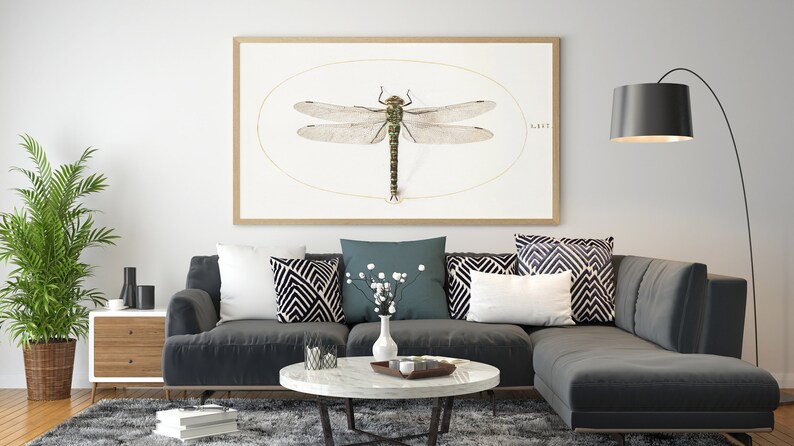 Dragonfly Poster Art Vintage Dragonfly Illustration Vintage - Etsy