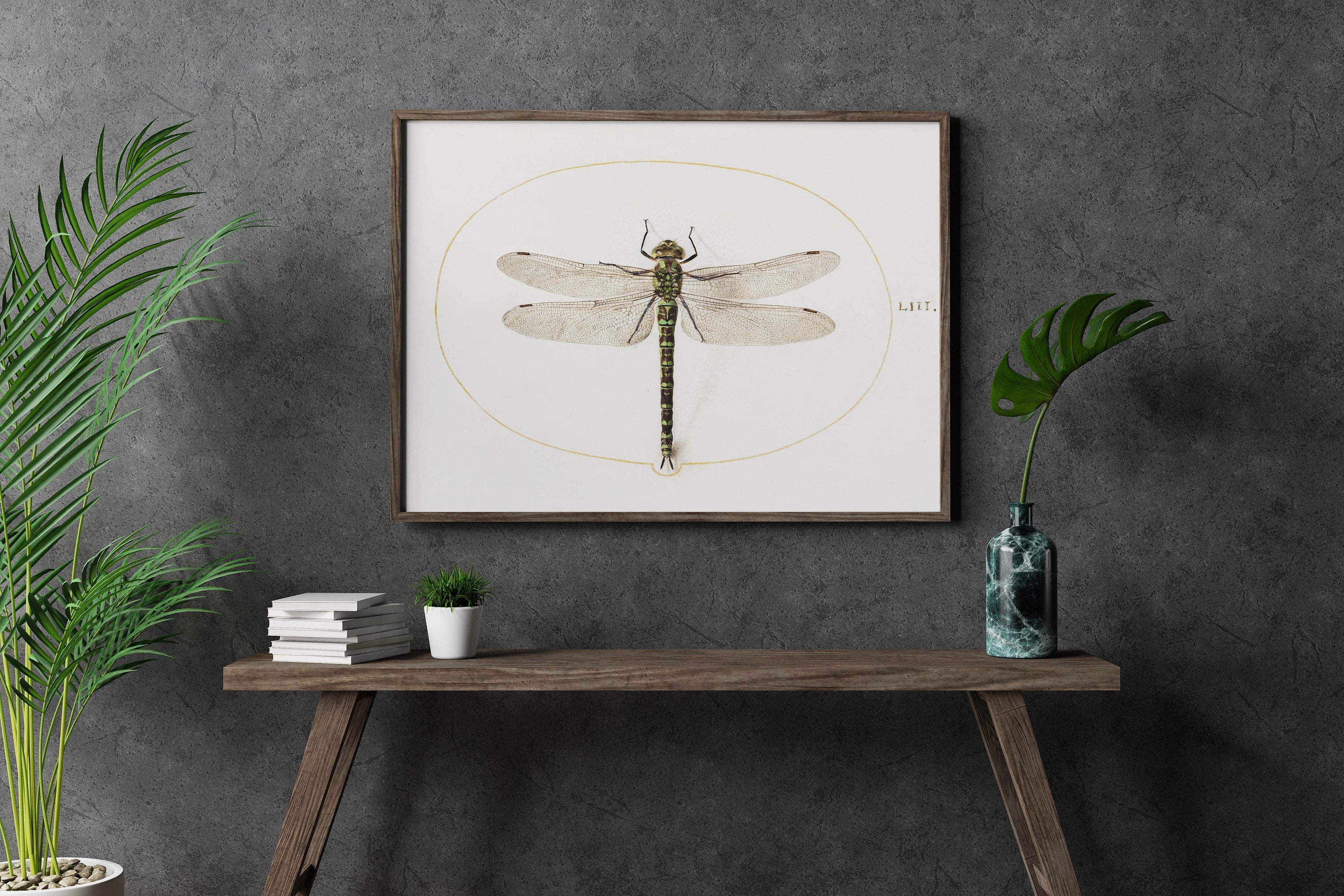 Dragonfly Poster Art Vintage Dragonfly Illustration Vintage - Etsy
