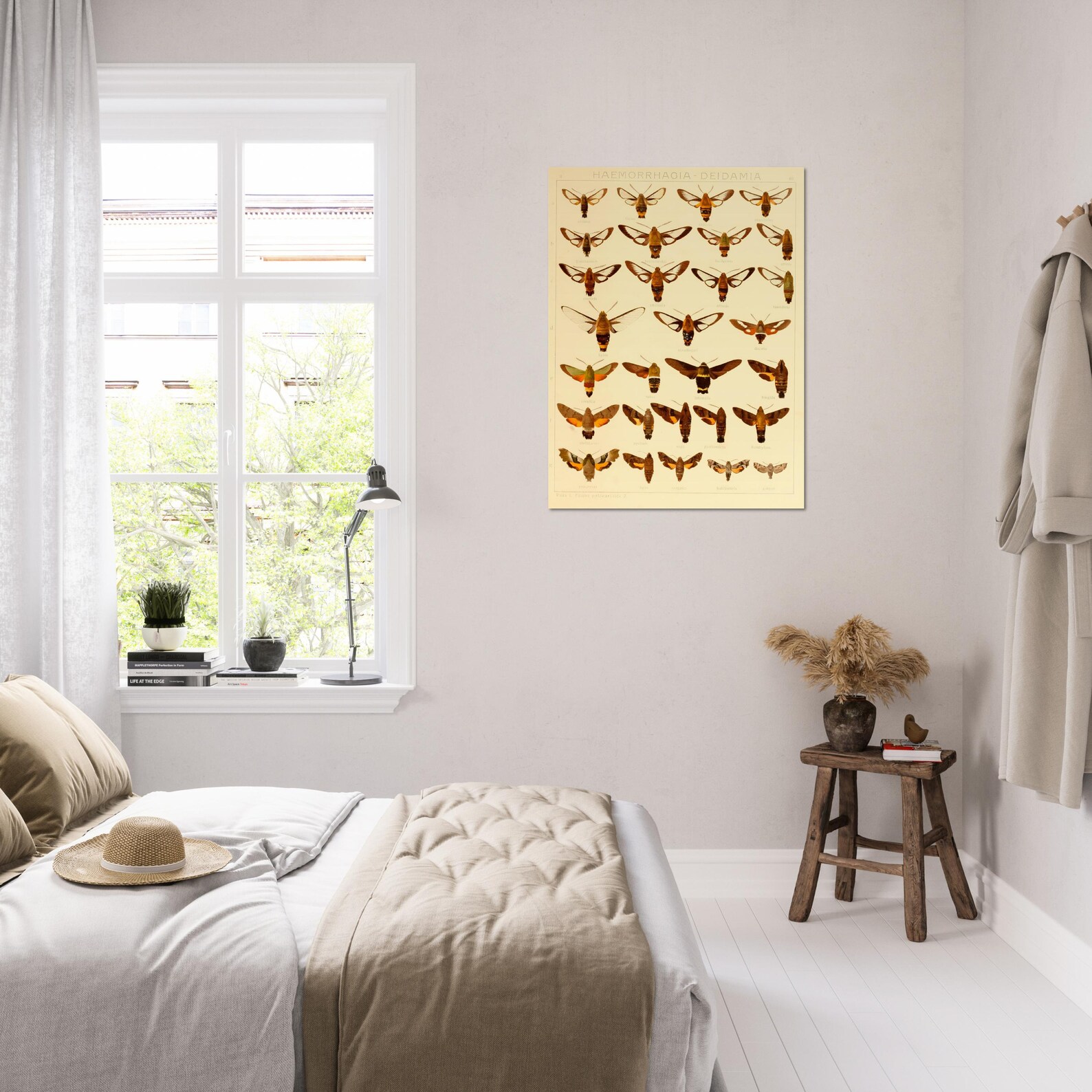 Butterfly Poster Butterfly Print Vintage Butterfly Print - Etsy