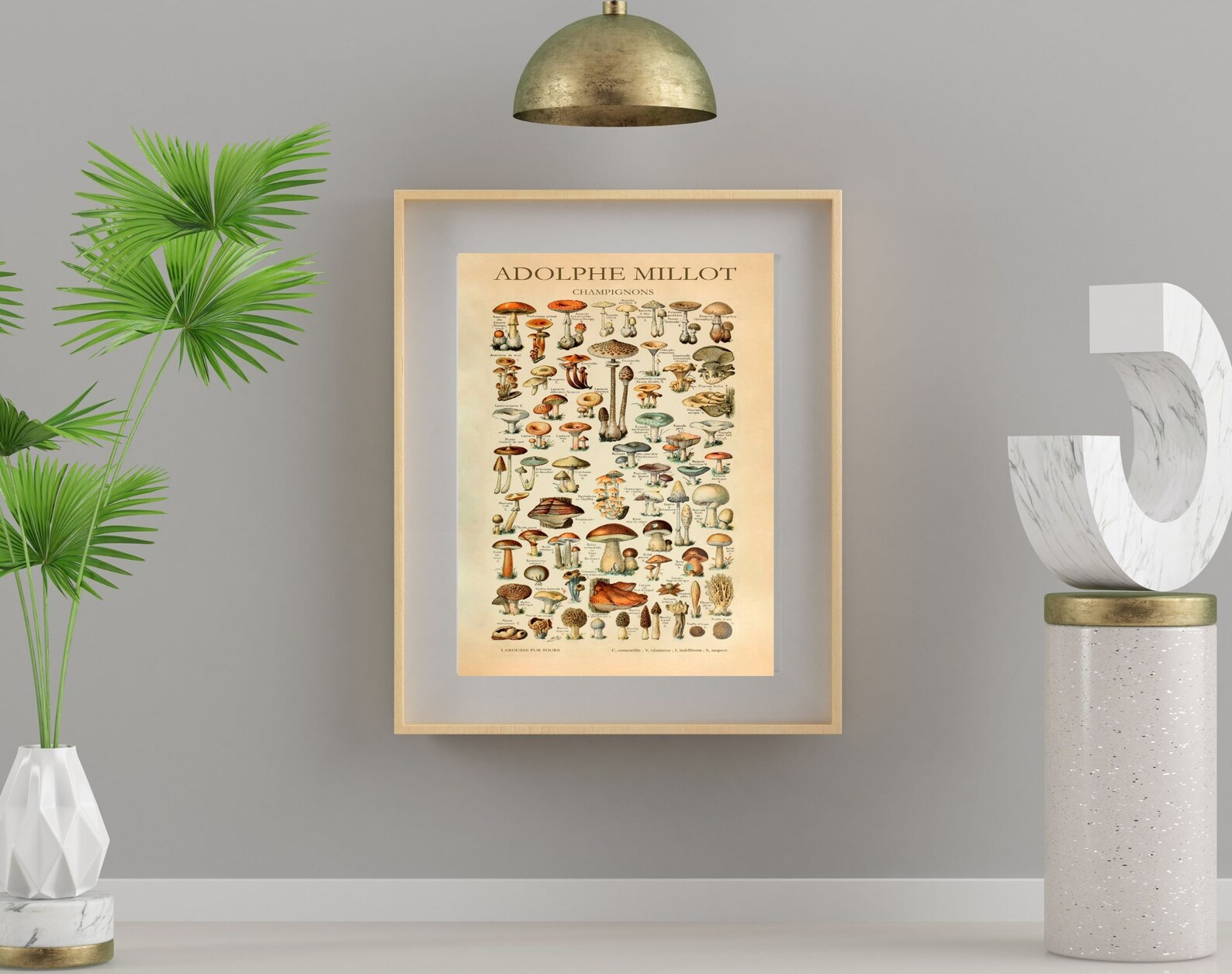 Adolphe Millot Vintage Mushrooms Poster Botanical Print | Etsy