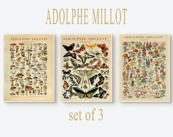 Adolphe Millot Adolphe Millot Print Adolphe Millot Flowers - Etsy