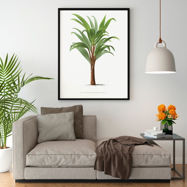 Palm Tree Printables Palms Illustration Digital Download - Etsy