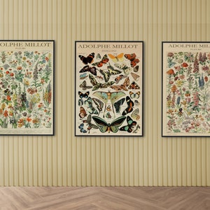 Adolphe Millot, Adolphe Millot Print, Adolphe Millot Flowers, Adolphe ...
