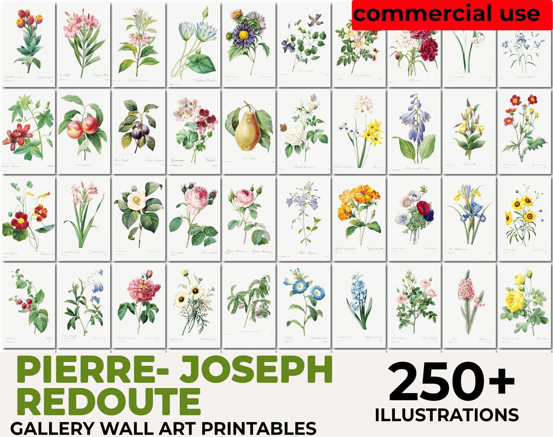 Les Roses, Pierre Joseph Redouté Botanical, Vintage Flower Print ...
