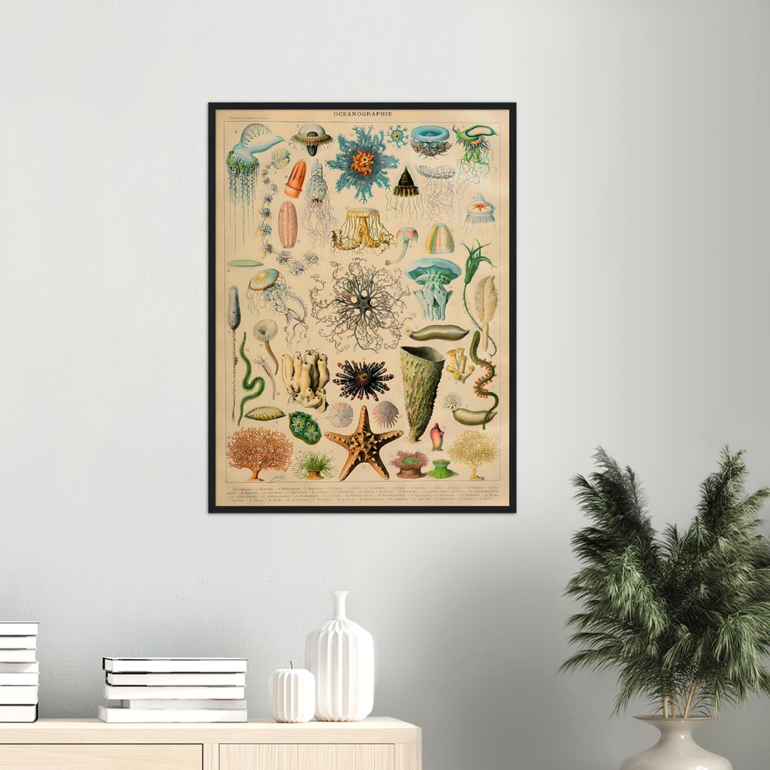 Adolphe Millot Print to Download - Vintage Fish Oceans Poster Print ...