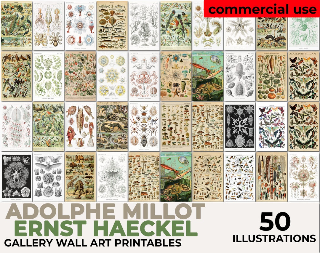 Millot Poster, Ernst Haeckel Print, Adolphe Millot Art Print , Adolphe ...