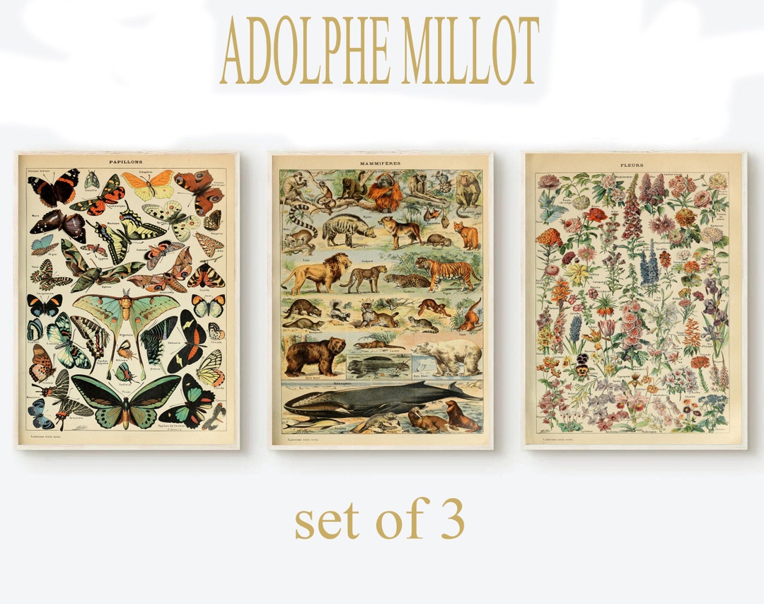 Adolphe Millot Digital Download - Botanical Print - Adolphe Millot ...