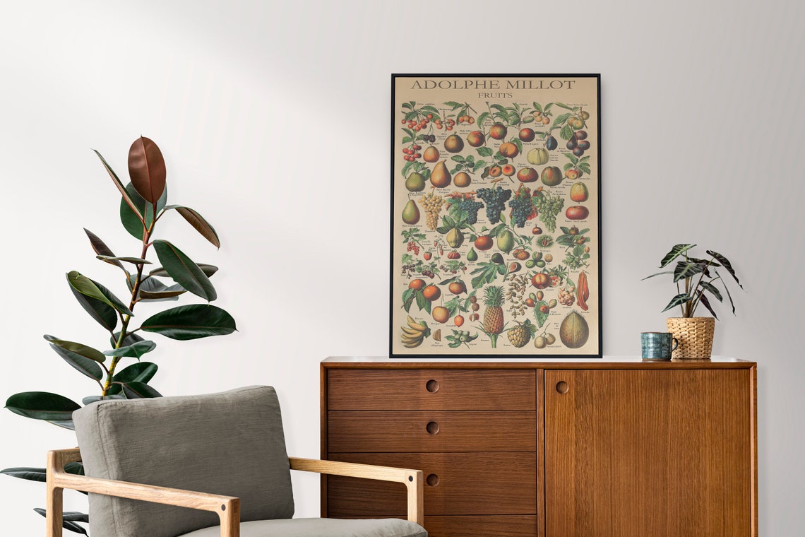 Adolphe Millot Print to Download Vintage Fruits Poster - Etsy