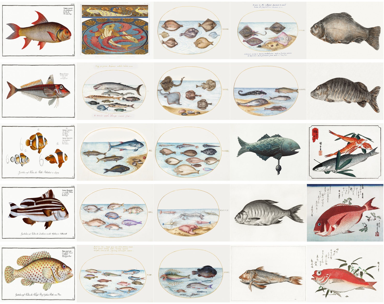 Fish Illustration Set of 100 Frame TV Art Set 2 Fish Print - Etsy