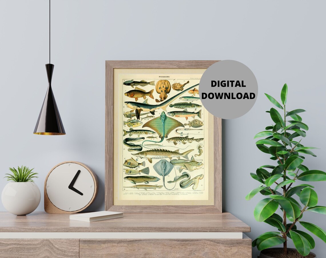 Adolphe Millot Prints to Download Vintage Sea Animals Poster - Etsy