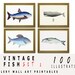 Fish Illustration Set of 100, Fish Printable, Fish Illustration Fish ...