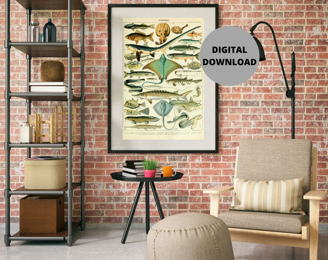 Adolphe Millot Prints to Download Vintage Sea Animals Poster - Etsy