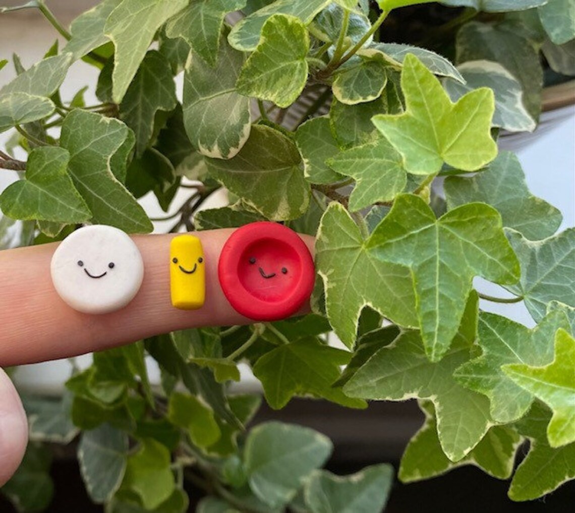 Blood Cell Micro Trio Including Red and White Blood Cells and - Etsy