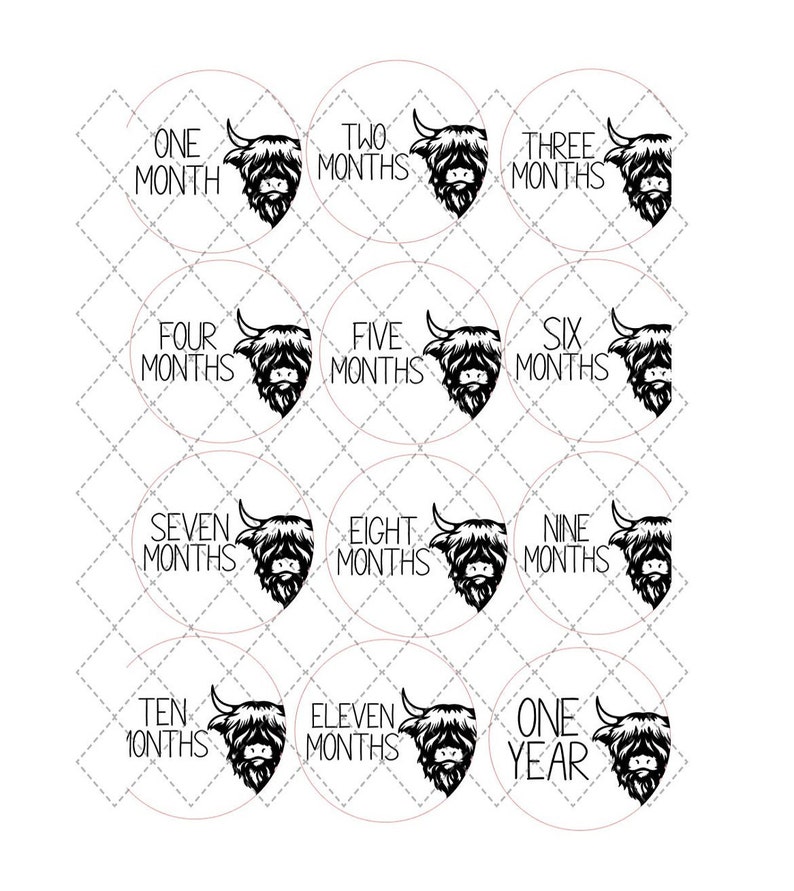 Highland Cow Milestone Card SVG - Etsy Australia