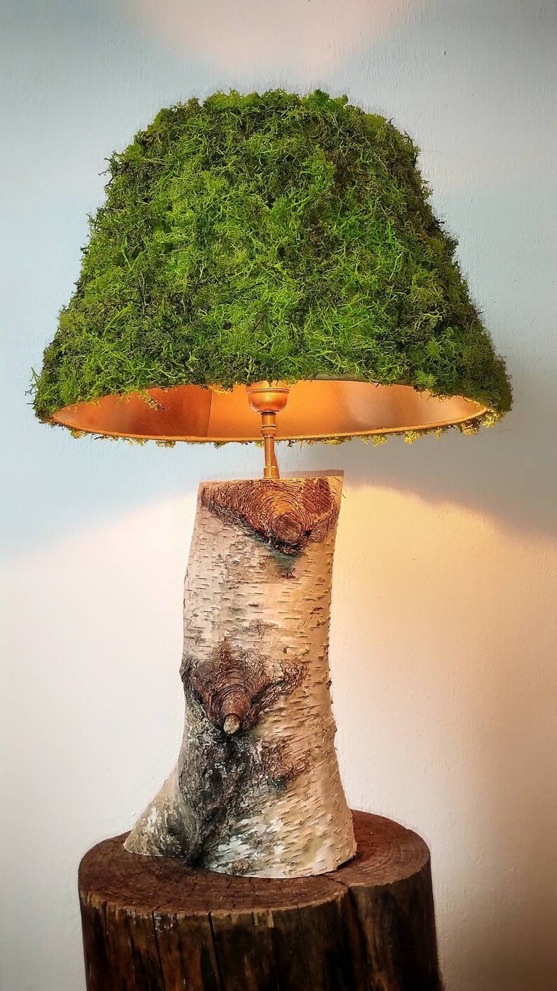 Unique Table Lamp With Silver Birch and Stabilized Moss - Etsy