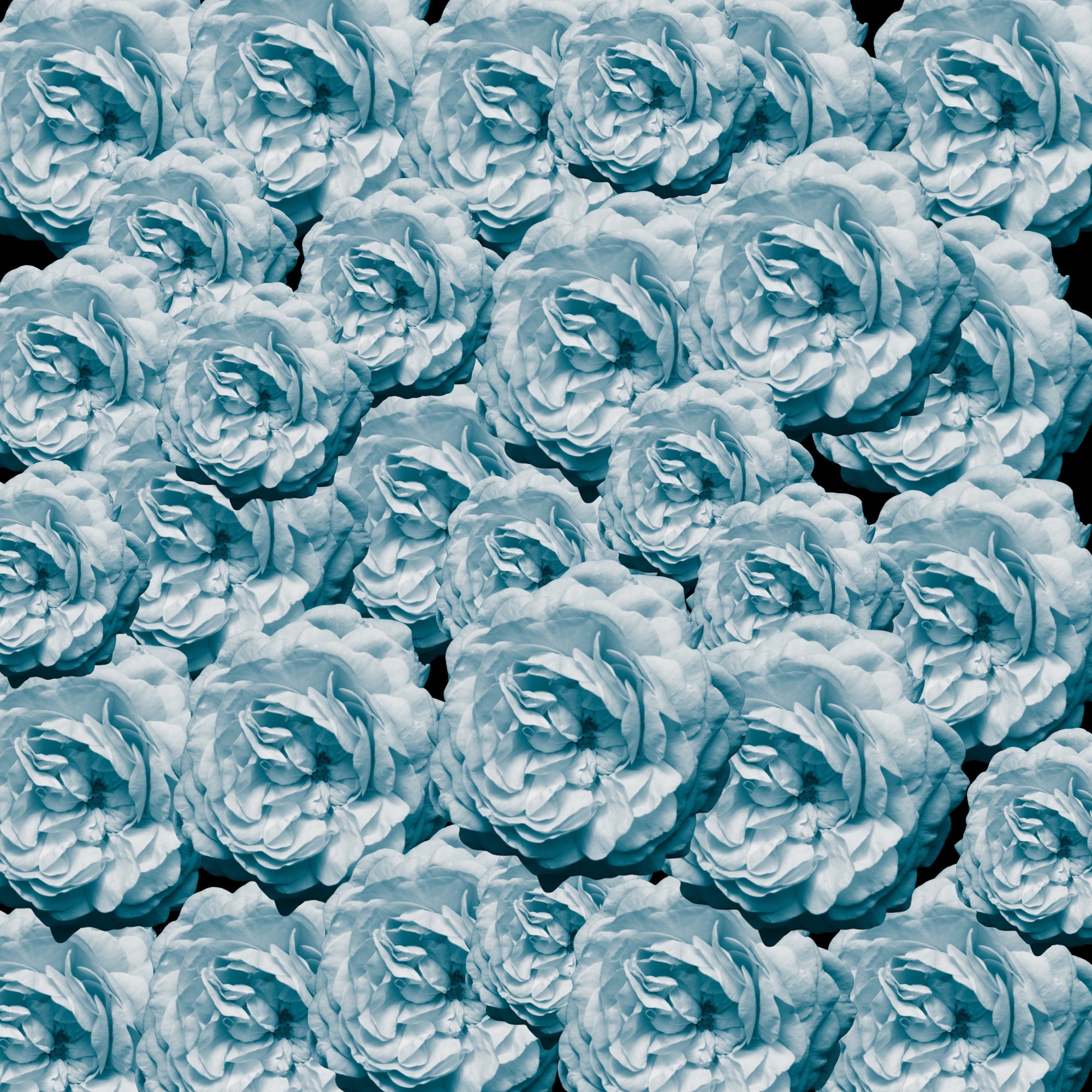 Blue Flowers Patterns, Blue Flower Digital Paper Pack, Seamless ...