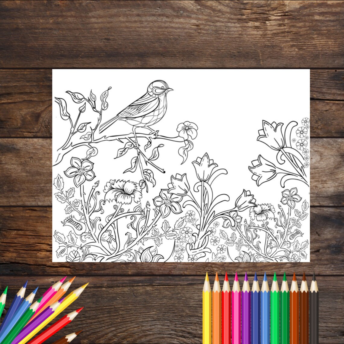 Bird Coloring Page, Nature Coloring Sheet, Downloadable Coloring Book ...