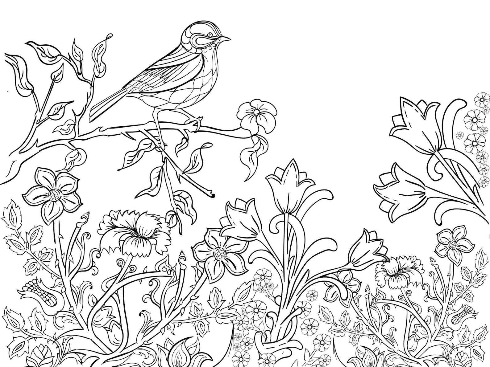 Bird Coloring Page, Nature Coloring Sheet, Downloadable Coloring Book ...
