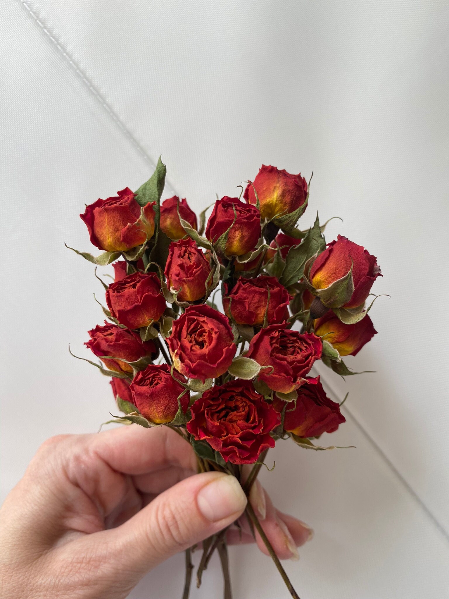 Air Dried Roses on Short Stems 25pcs Rustic Flowers Tiny - Etsy