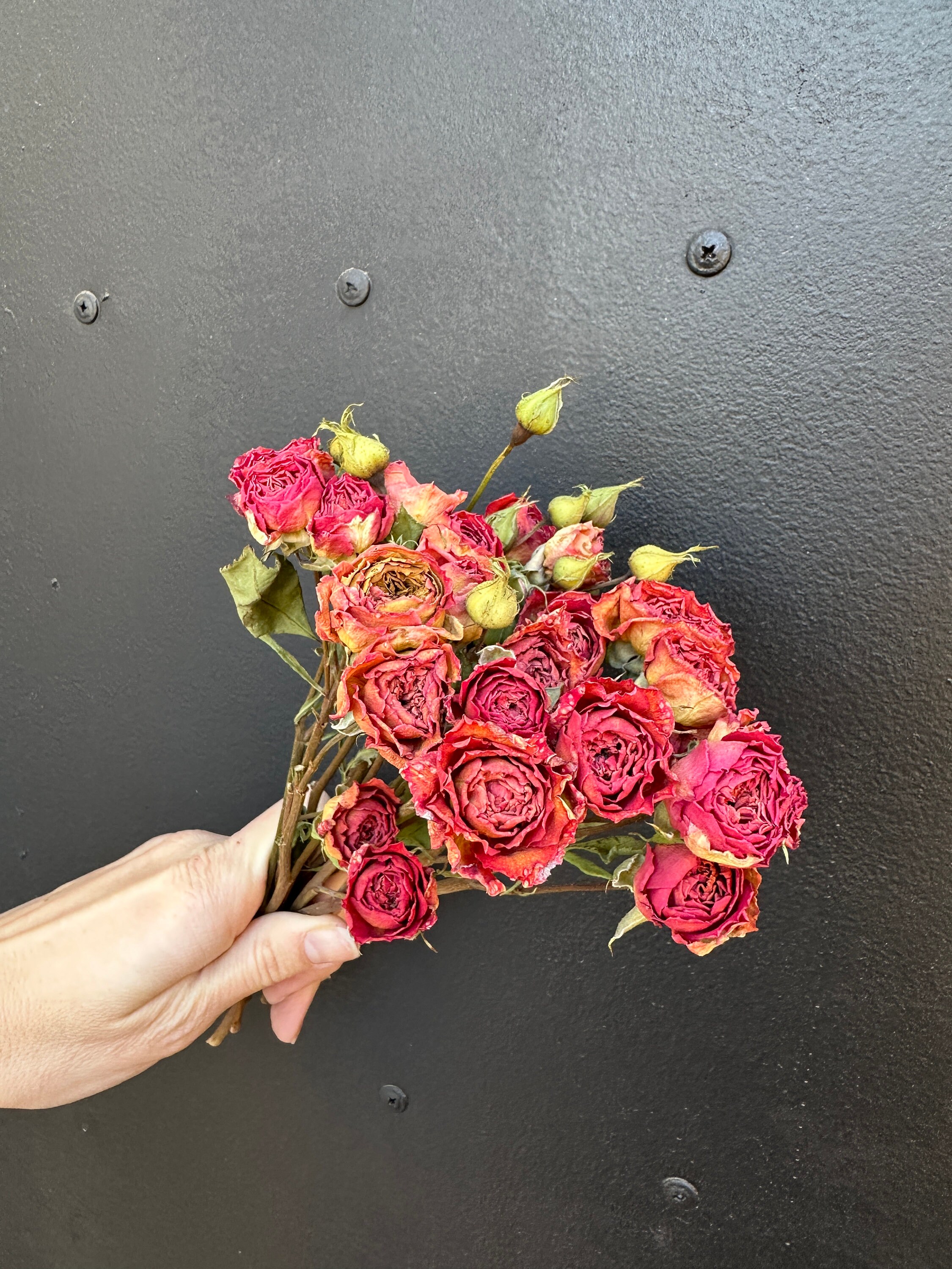 Air Dried Roses on Short Stems, 25pcs, Rustic Flowers, Tiny Orange ...