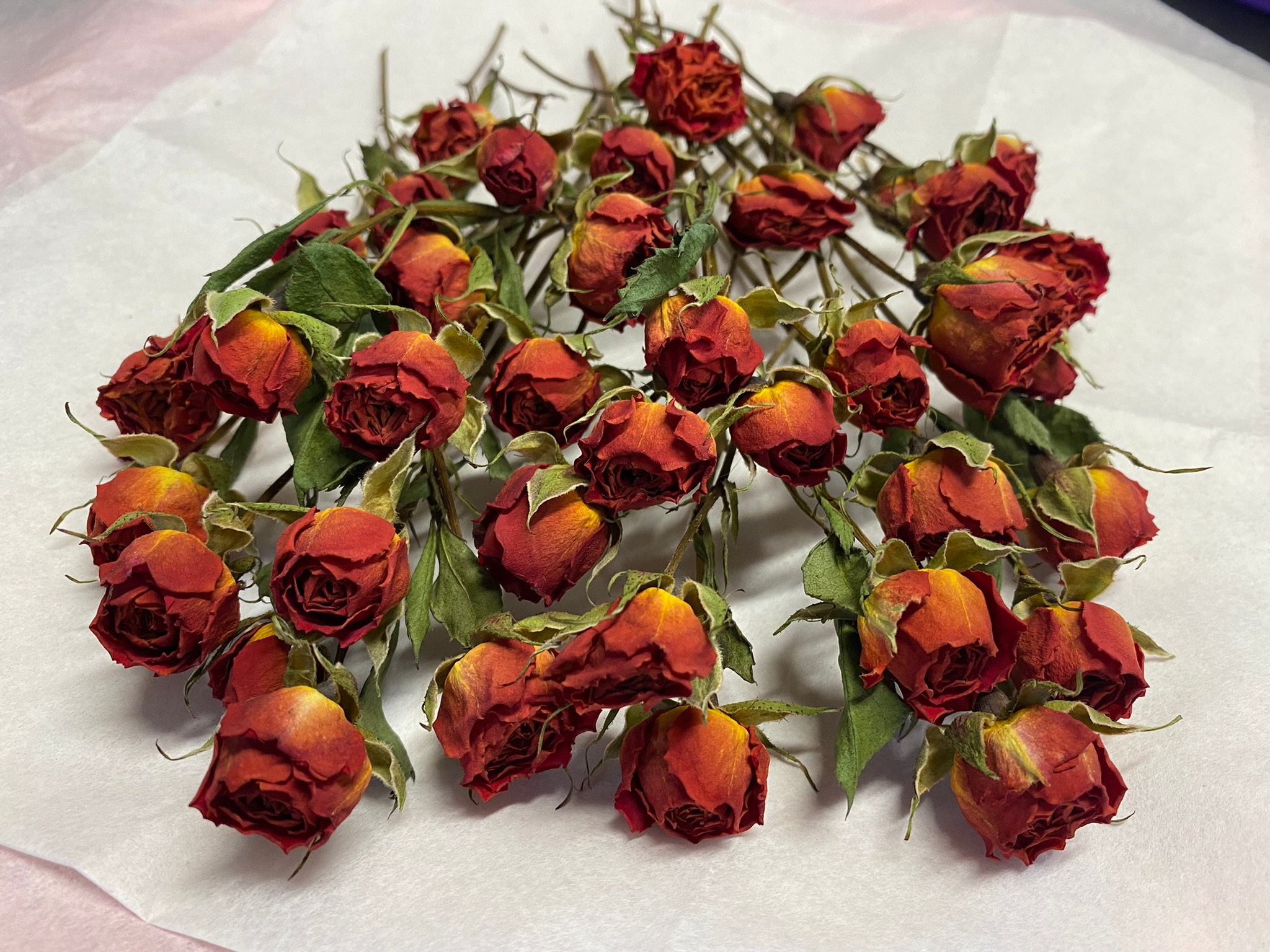 Air Dried Roses on Short Stems 25pcs Rustic Flowers Tiny - Etsy