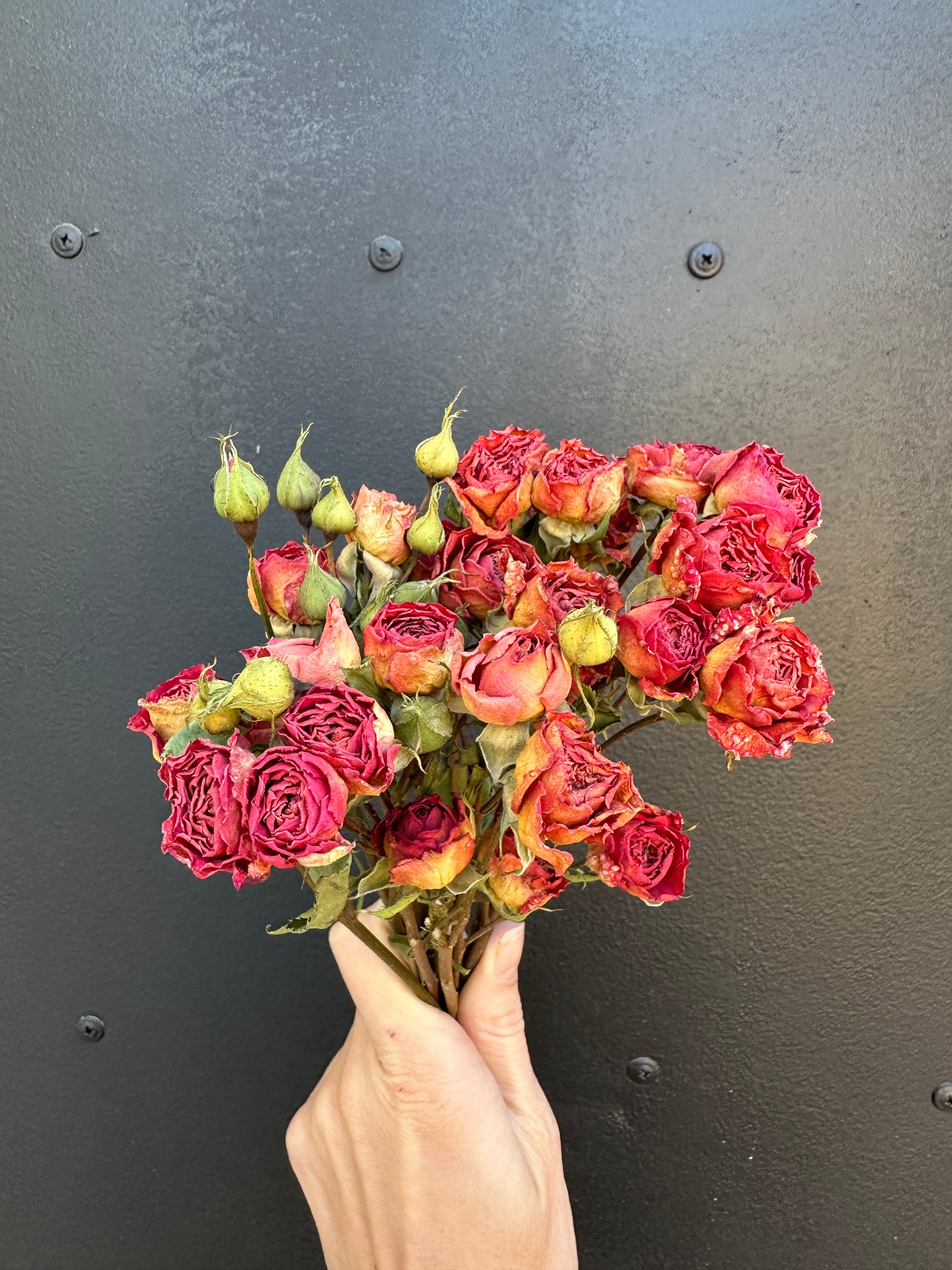 Air Dried Roses on Short Stems, 25pcs, Rustic Flowers, Tiny Orange ...